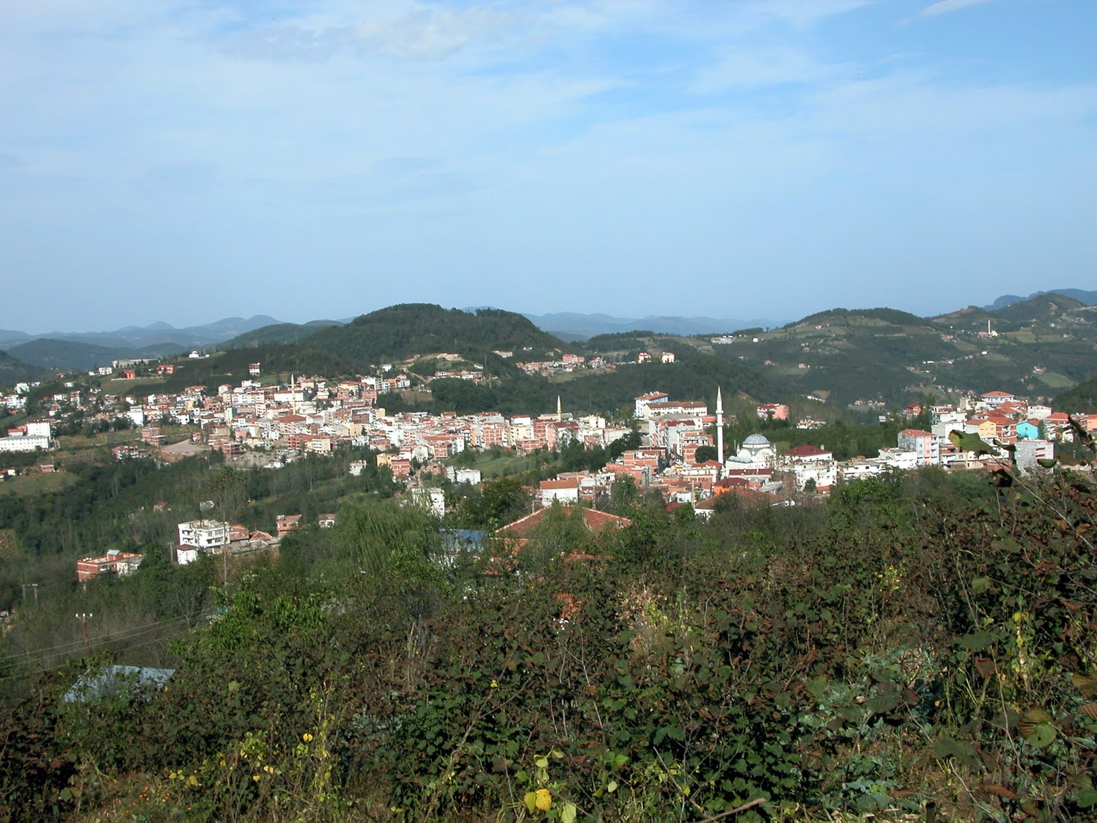 AŞAĞIKOZPINAR KÖYÜ (ORDU İLİ KORGAN İLÇESİ AŞAĞIKOZPINAR KÖYÜ İSTANBUL ...
