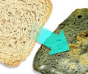 HEALTHYLOG: Bolor e Alimentação