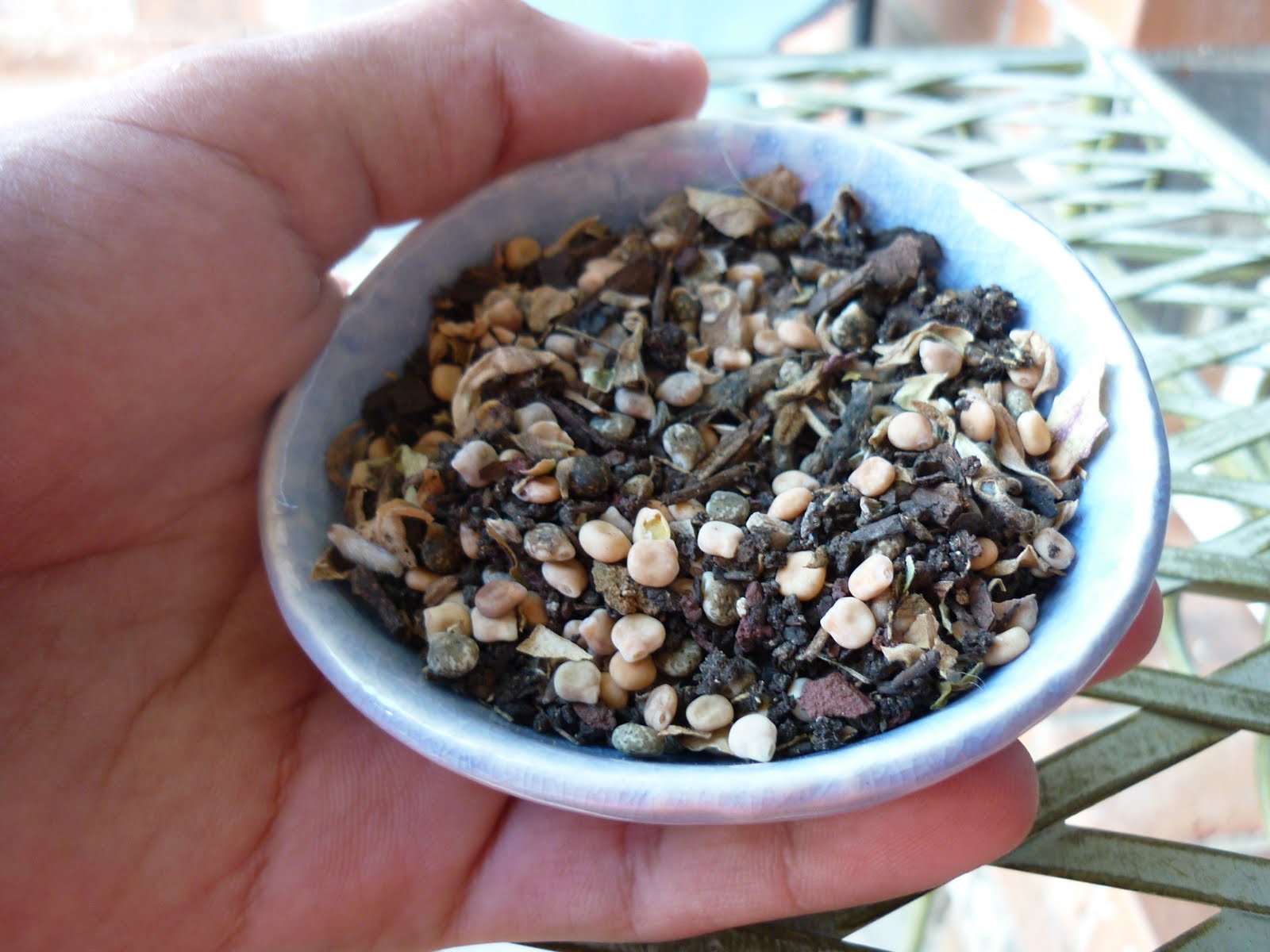 12813: Saving Bluebonnet Seeds