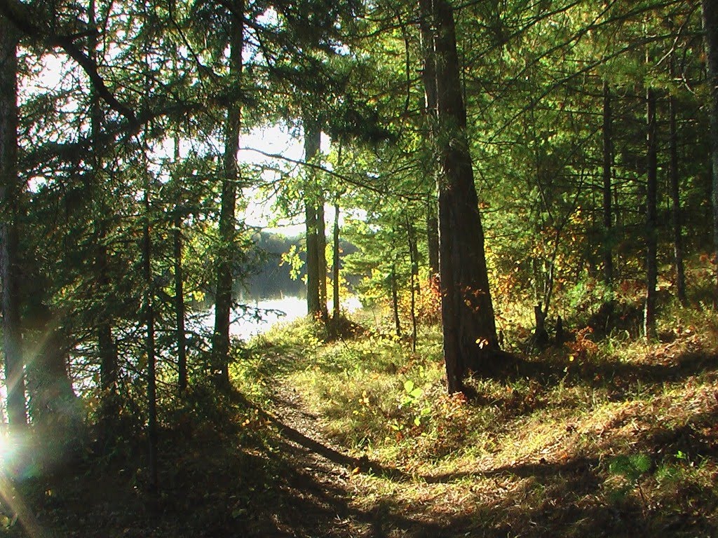 What A View!!! : Campground Review - Sturgeon Bend, Faithorn Township ...