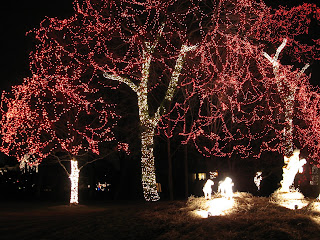 Dr. Benton Quest: Christmas Lights in Grosse Pointe