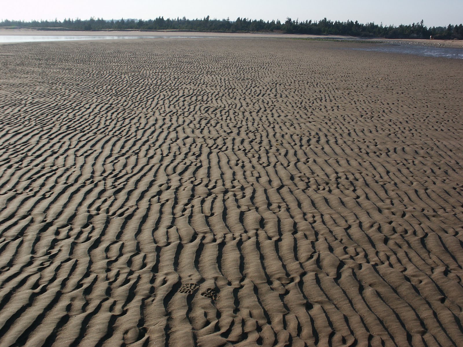 CIENCIA CON PACIENCIA: GEOFOTOS: Ripples