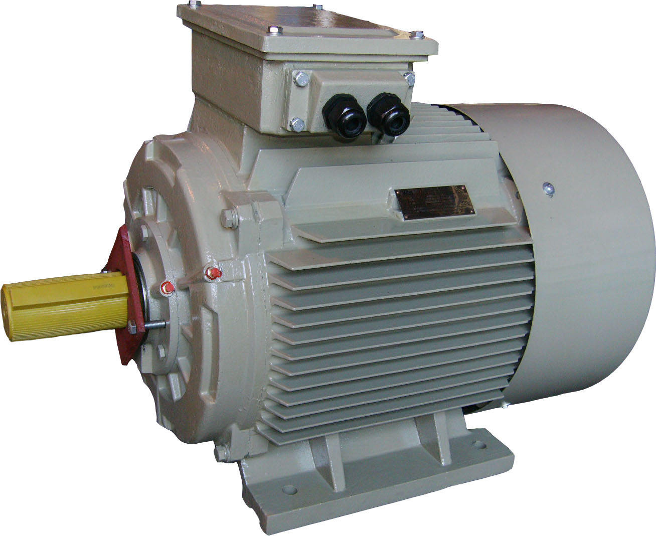 WEM HIGH EFFICIENCY ELECTRIC MOTORS and INVT AC VARIABLE SPEED DRIVES ...