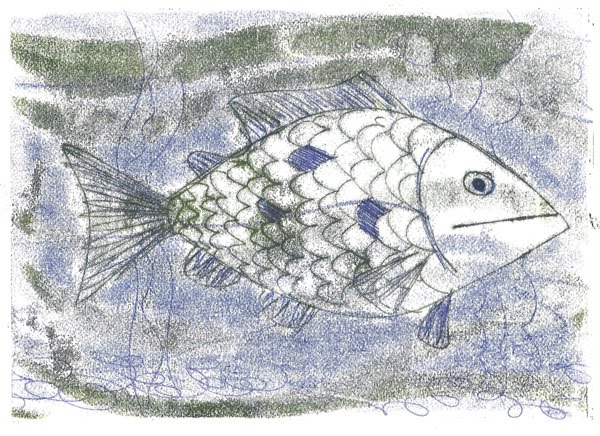 PETER GANDER ART: Monoprint: Fish 100428