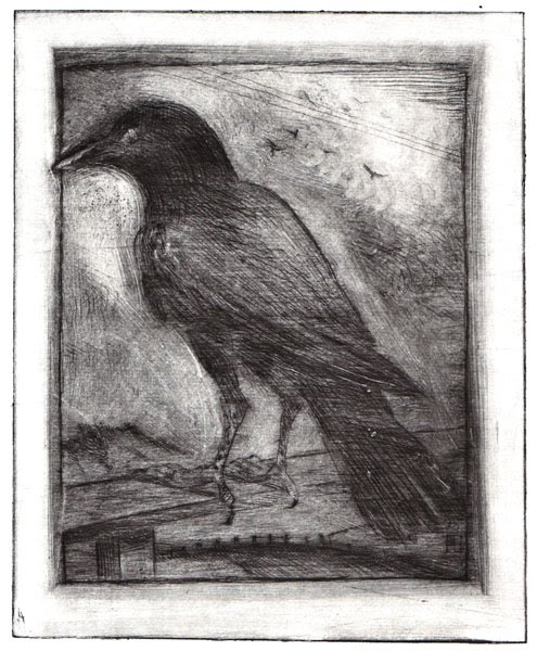 PETER GANDER ART: Printmaking: Drypoint Crow