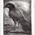 PETER GANDER ART: Printmaking: Drypoint Crow