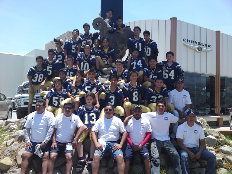 Carneros Salvajes de Saltillo