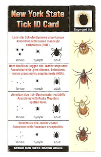 Don't Bug Me: Tick I.D. Card