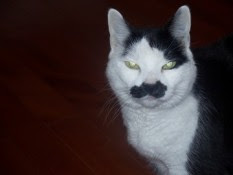 FlutePrayer: Kitlers