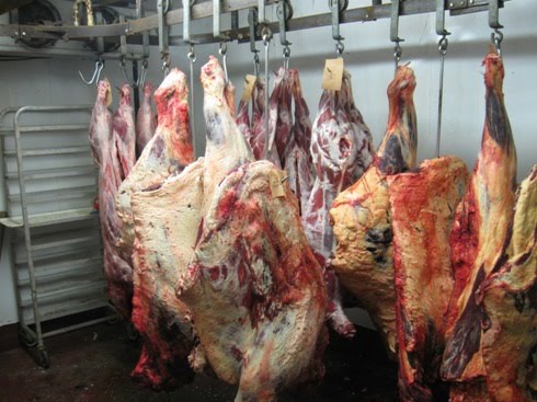 Jon In Albany: Cows Part 3: Packing