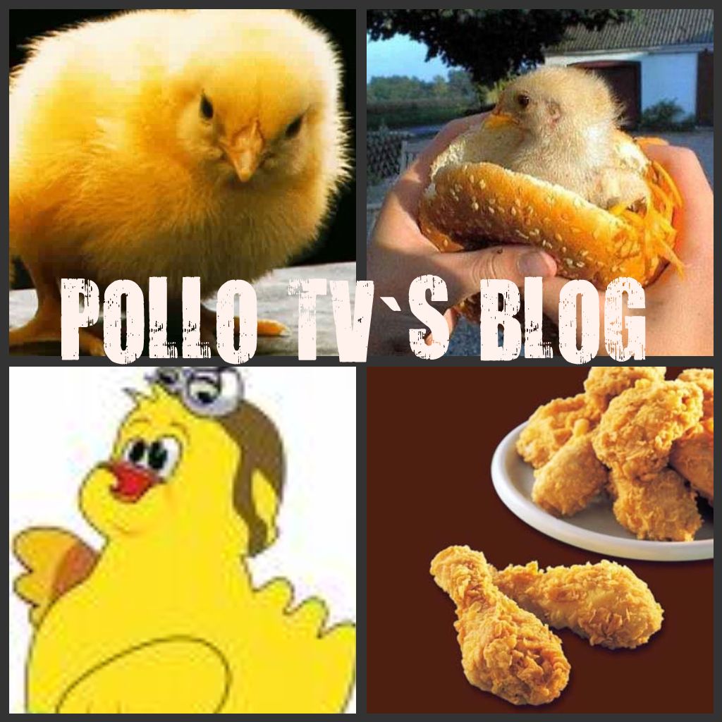 POLLO TV`S BLOG