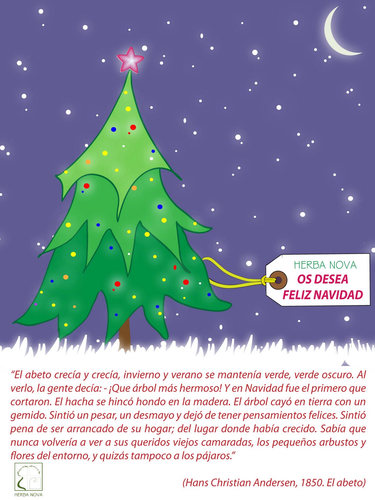Blog de Paisajismo Herba Nova: EL ABETO DE NAVIDAD