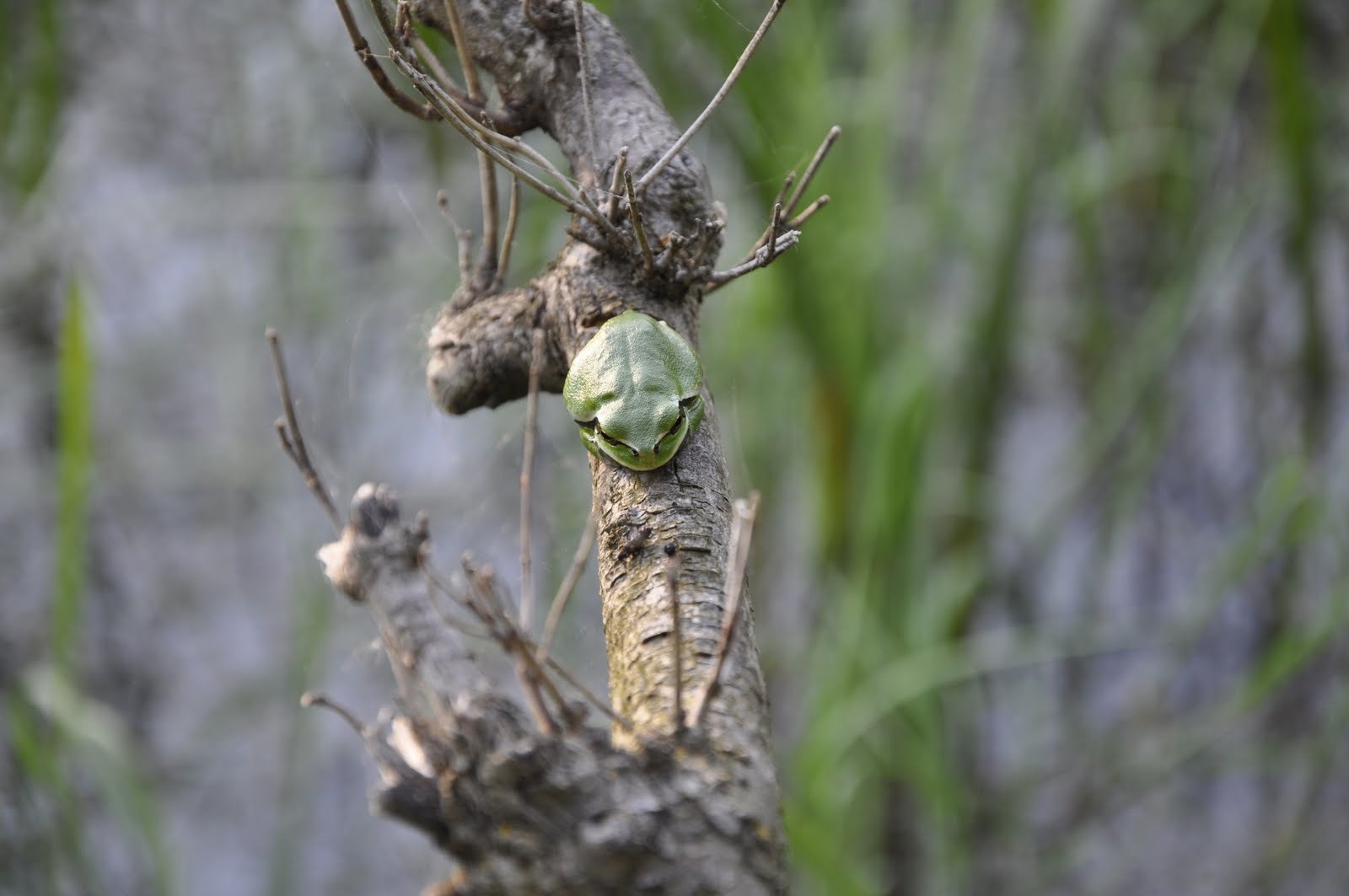 Timp liber: 1 Mai la Muchea Plaisorului