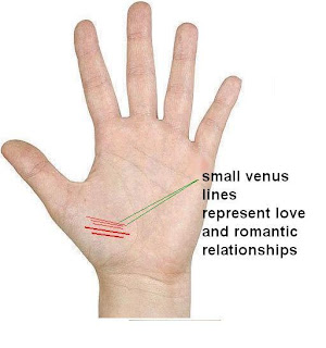 palmistry: Know your Future: Net on mount of venus