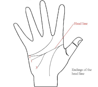 palmistry: Know your Future: Palmistry: The ends of head line
