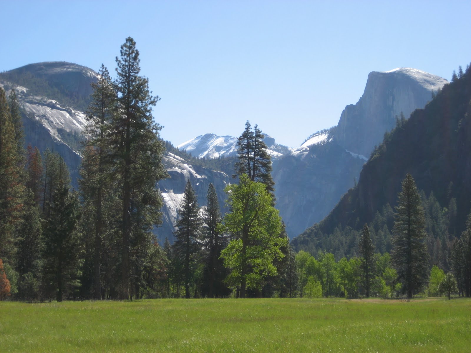 REMinLA: Cook's Meadow Loop