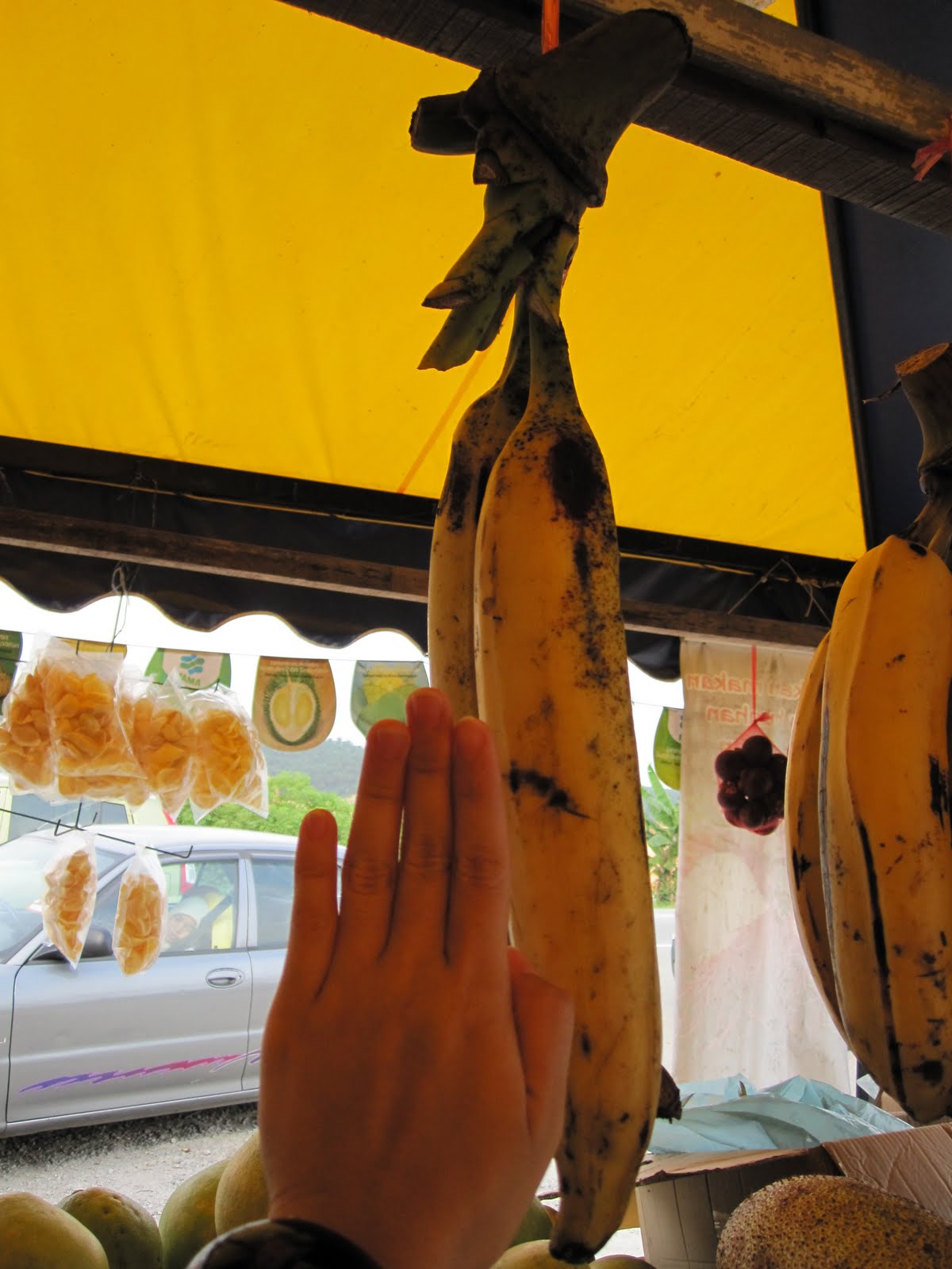 Joyce Lee Sook Quan's Life Blog: Longest Banana Ever....