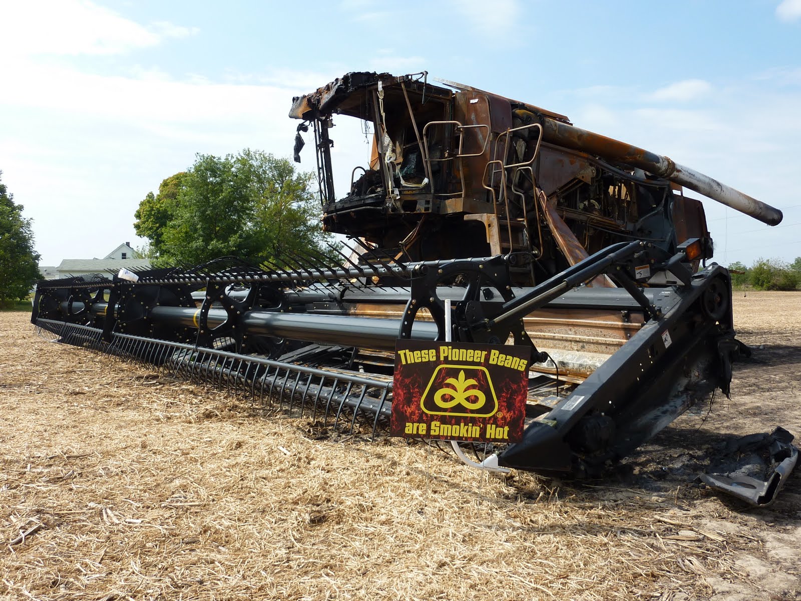 Rose Valley Ranch: Combining Laughs