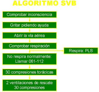 ENFERMERIA AVANZA: SOPORTE VITAL BÁSICO