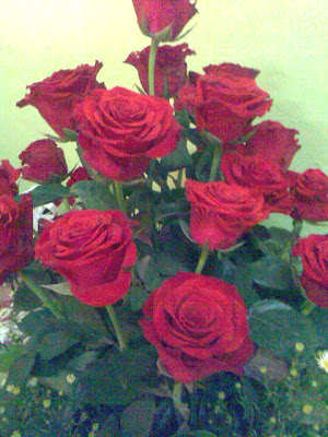 Sang Kepompong: Belajar dari MAWAR MERAH