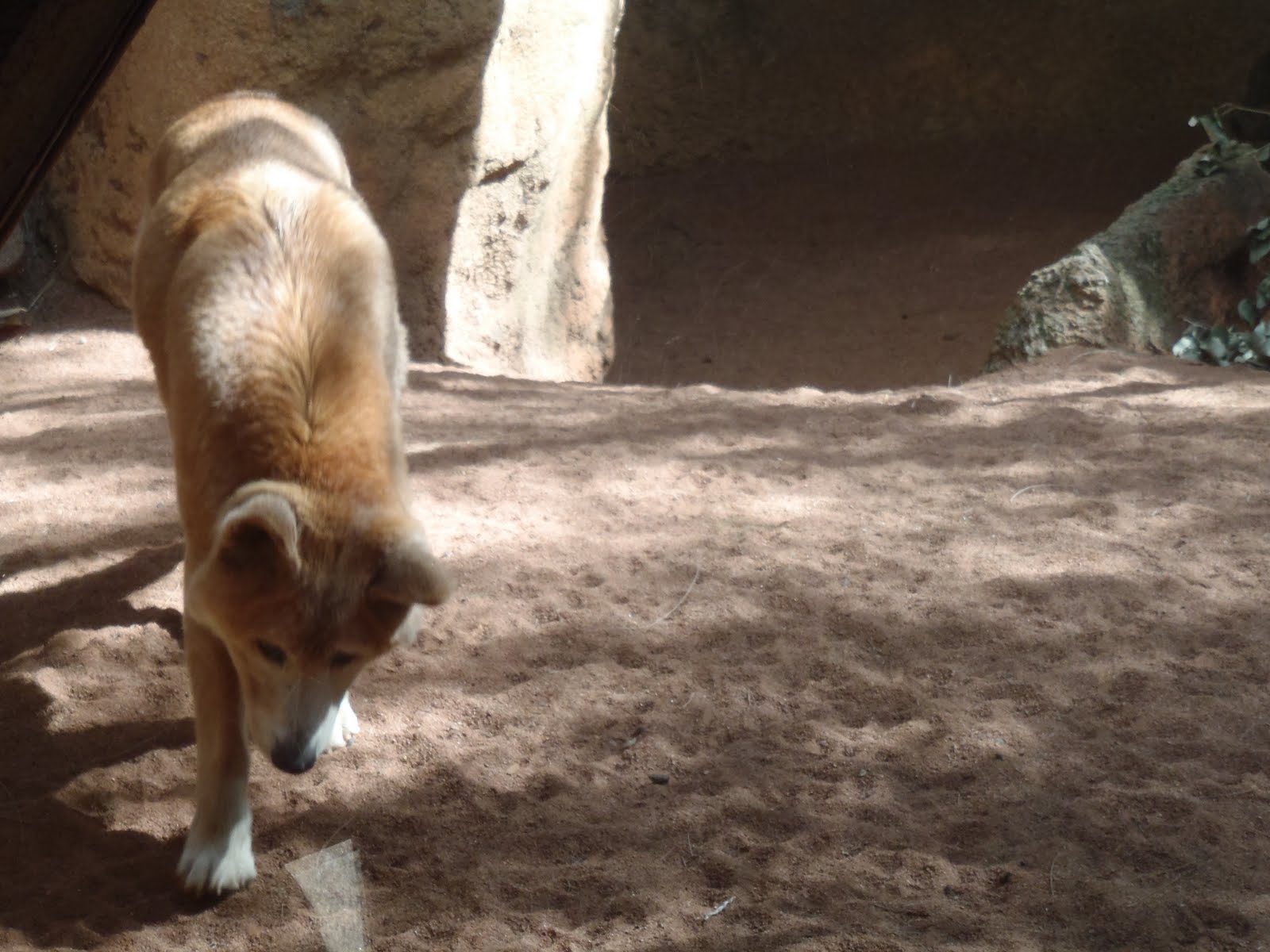 Julie and Ben: Livin' Down Undah: Perth Adventures