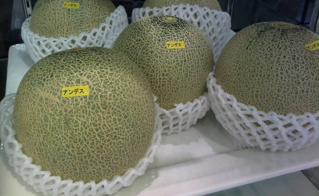 J And J Eat Their Way Around The World: Sunfruits - Atelier du Soleil ...