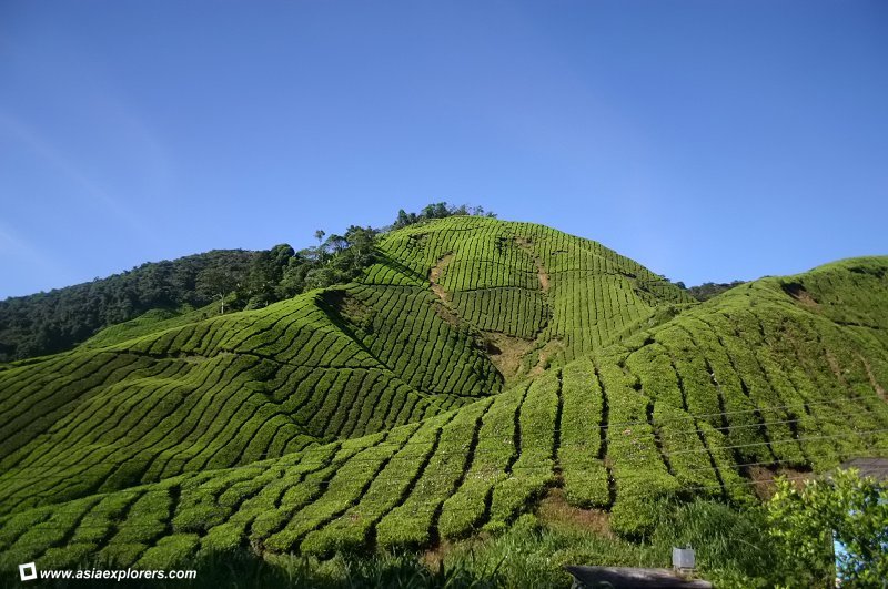 Proudly Malaysian: PLACES OF INTEREST - PAHANG