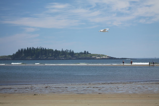 A day at Popham Beach State Park