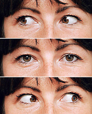 01 800 PREPAGO: La mirada es clave en las ventas