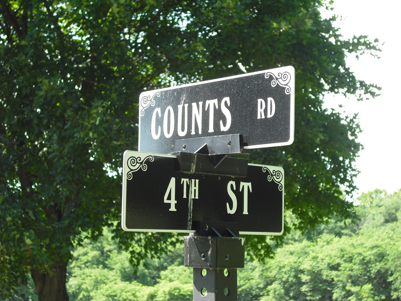 tauy creek: POtW: Oakwood Cemetery Signs