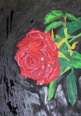Total Illusion Studio : Red Rose. Oil Pastel WIP.