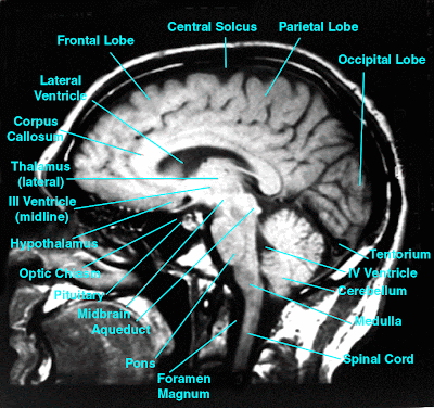 Wanderings and Rantings: It's a small world after all