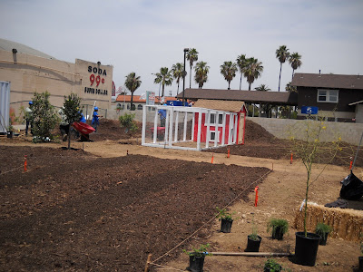 lisa engelbrecht: New City Farm School