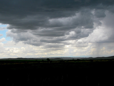 Thermopolis, Wyoming: Hamilton Dome, WY