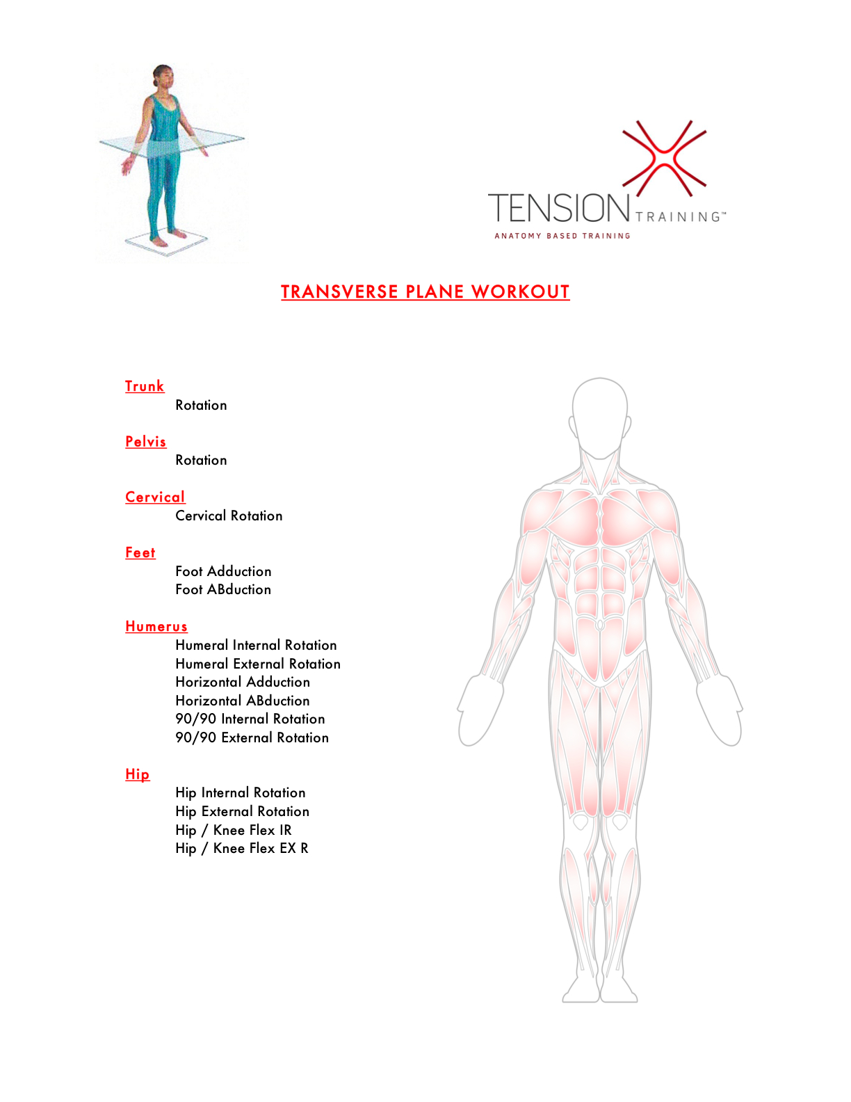 Muscle Activate - Human Motion Lab - San Francisco