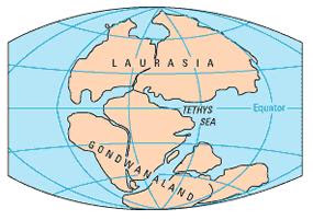 Gaia - The living Earth: Tectonic Plates: Shaping and Reshaping Gaia ...