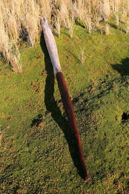 Historia: EL NAUFRAGIO DE LA FRAGATA WAGER