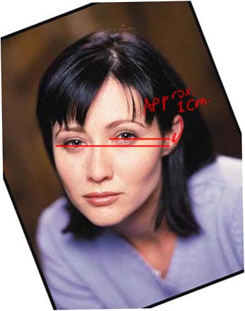 Muffy Bolding: picasso