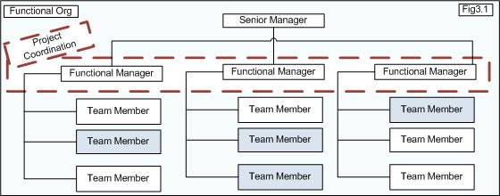 get pmp certified: Organization Structure
