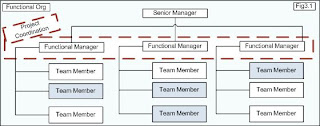 get pmp certified: Organization Structure