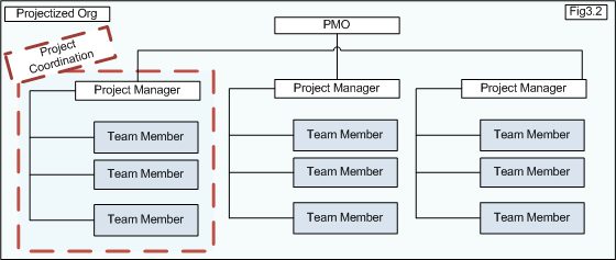get pmp certified: Organization Structure
