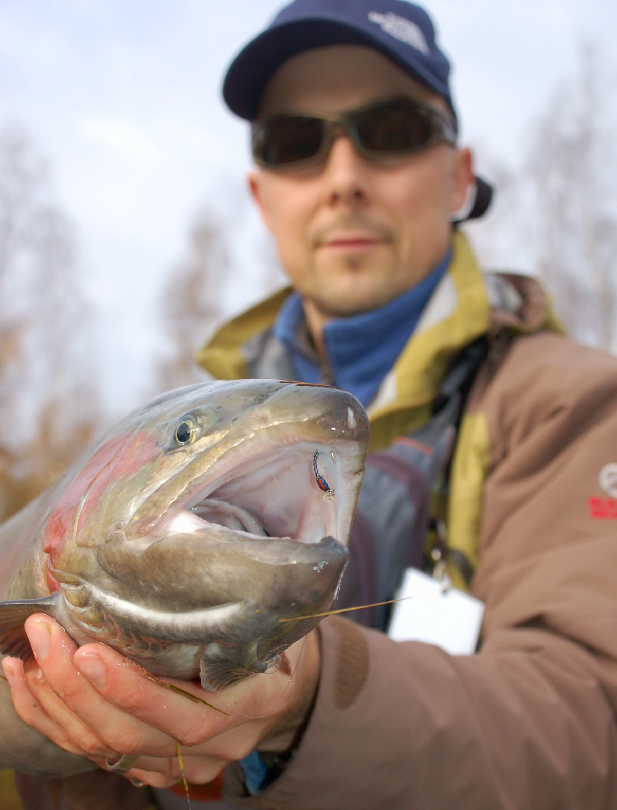 Mitt Fiske - Jonas Gavelin: En regnbågsfiskares dagbok