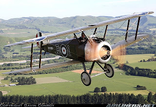 A Arte do Voo: Asas: definição, modelos e aplicações.