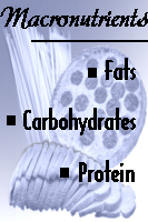 If Your Food Could Talk...: FAT, PRO, CHO.....huh?