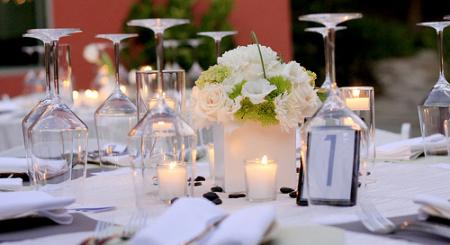 Meio Ambiente: Ideias para organizar uma festa verde