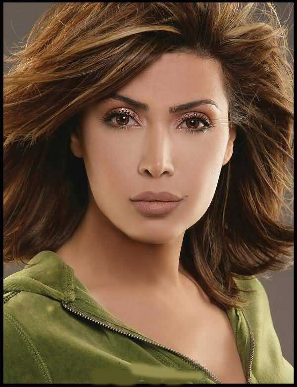 Famous Lebanese Arabic Singer Nawal Al Zoghby نوال الزغبي Arab Celebrities