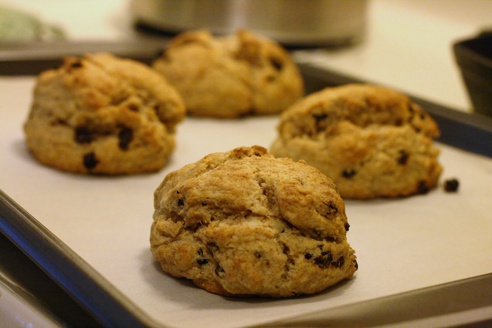Laine's Recipe Box: Currant Scones