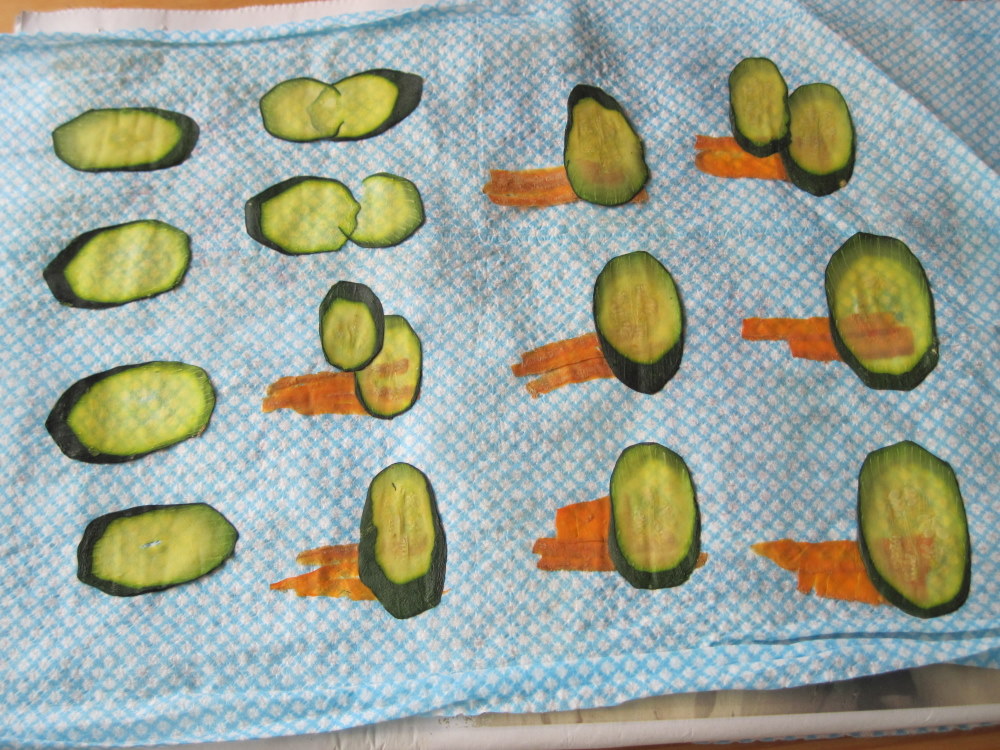 Helen Smith : Artist, Maker: Making 'Paper' from Vegetables