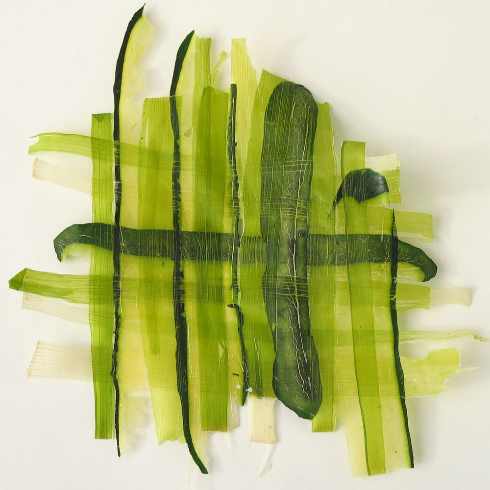 Helen Smith : Artist, Maker: Making 'Paper' from Vegetables