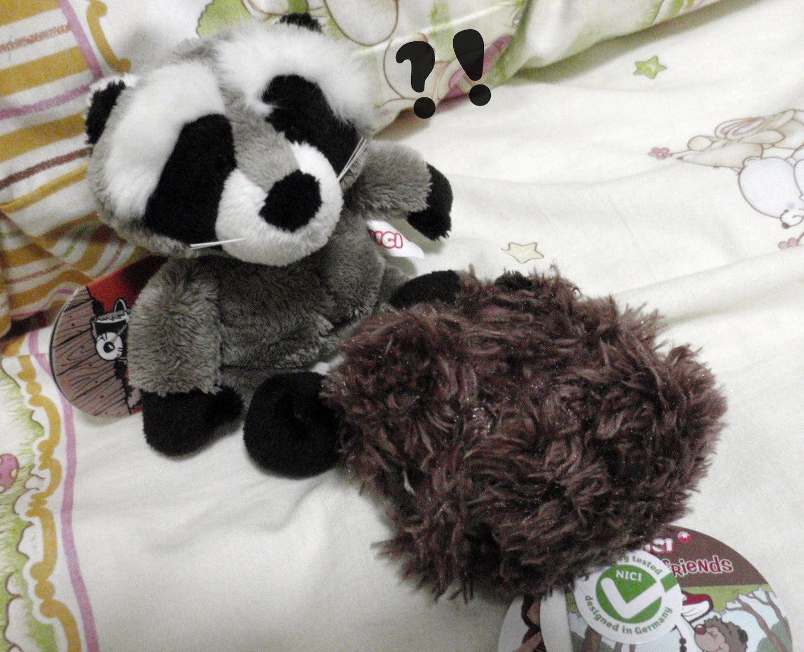 All About NICI: Rob Raccoon Meets New Friends